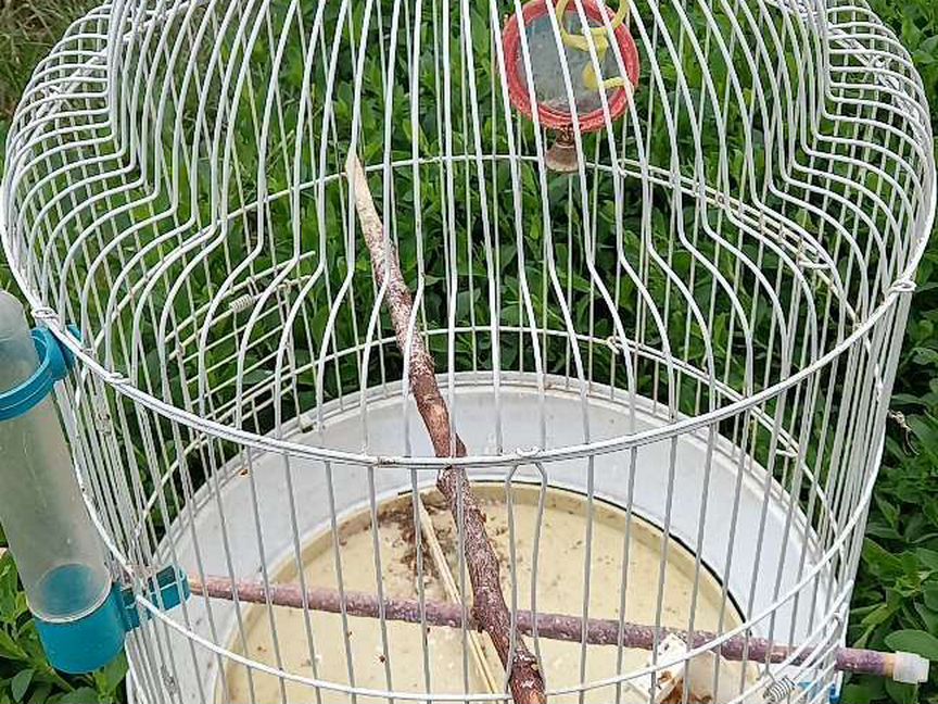 Клетка для попугая