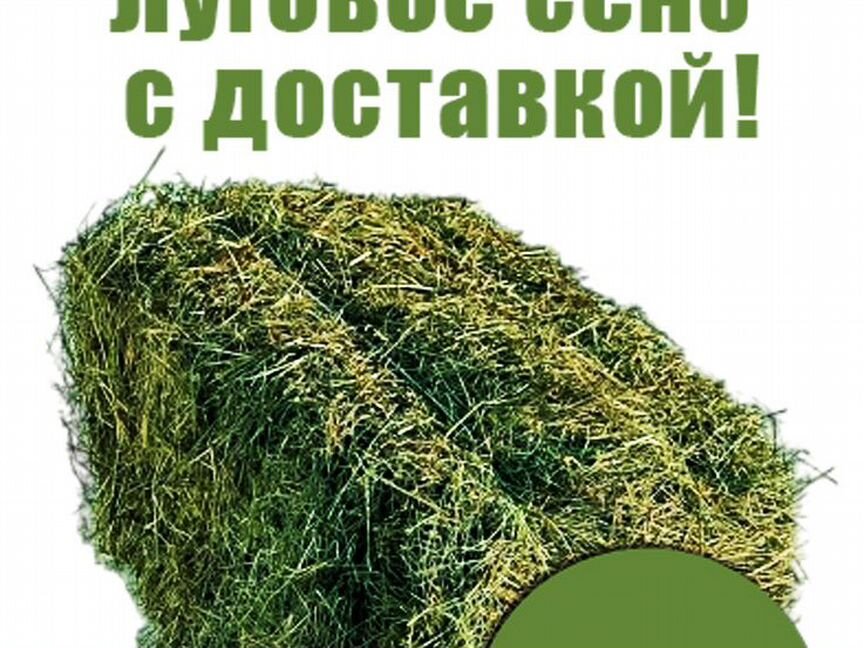 Сено луговое в тюках по 16 кг. Доставка по РФ