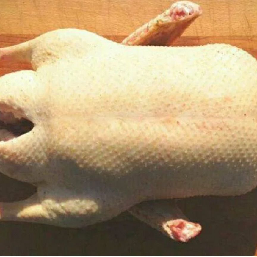 Мясо бройлера