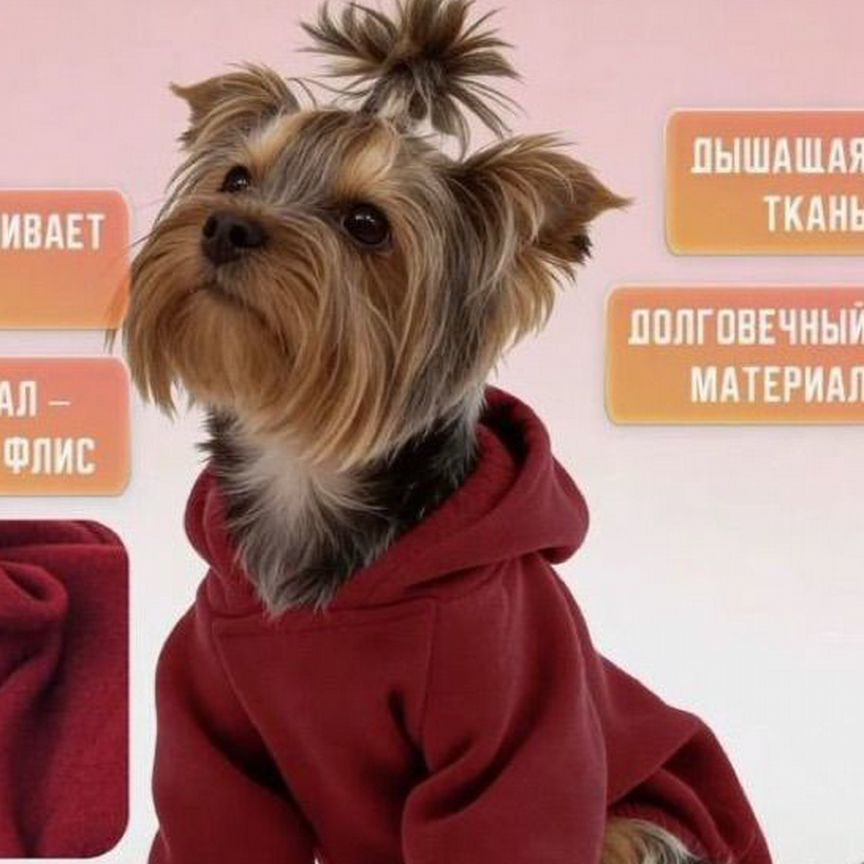 Одежда для собаки/щенка, хs