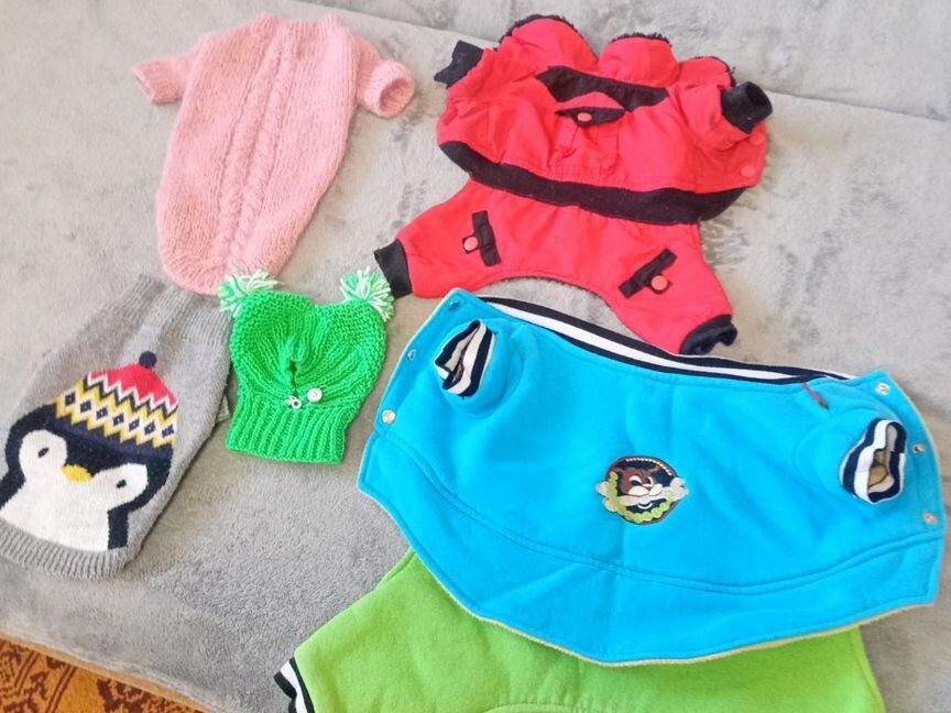 Вещи для собачки