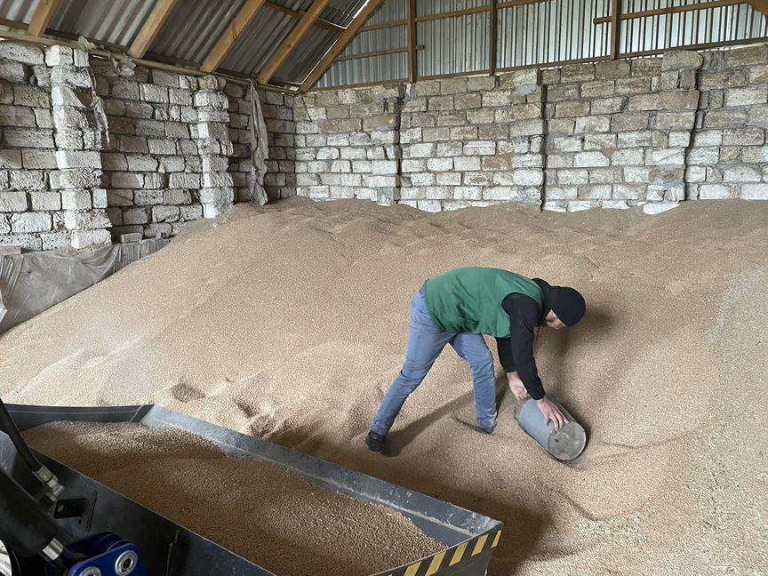 Зерно на корм 15 тонн