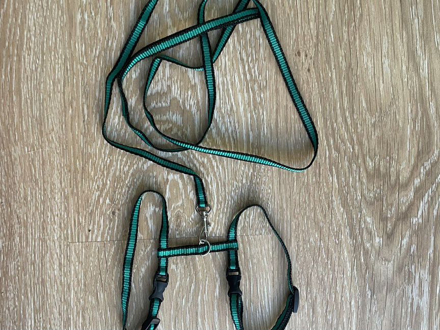 Шлейка для кошки