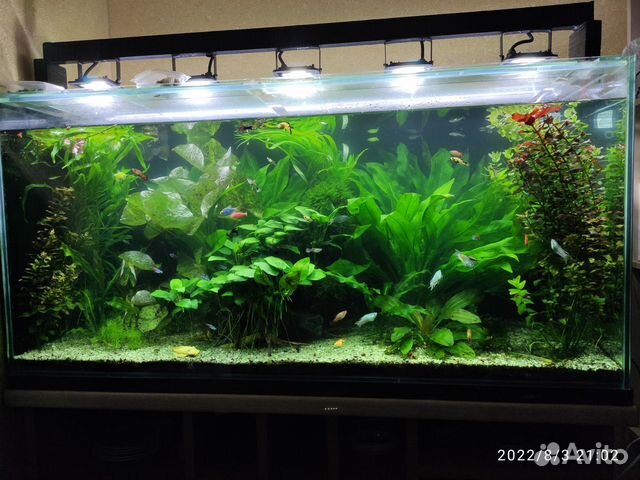 Аквариум с рыбками и тумбой 330 литров