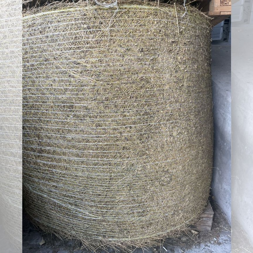 Сено люцерны в рулонах