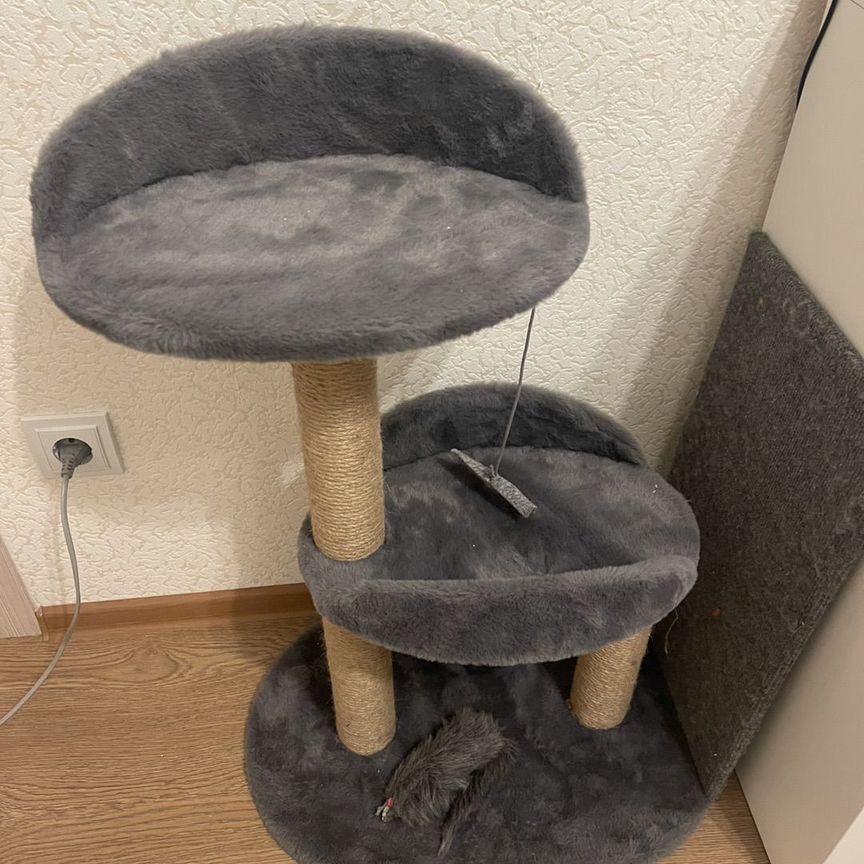 Когтеточка