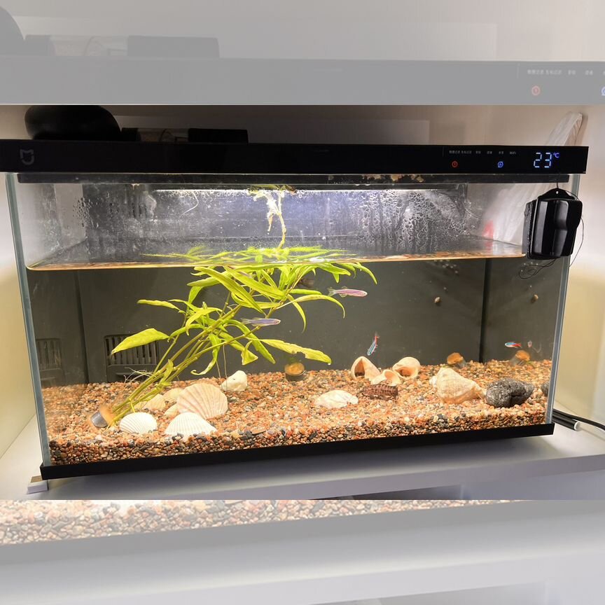 Аквариум с рыбками