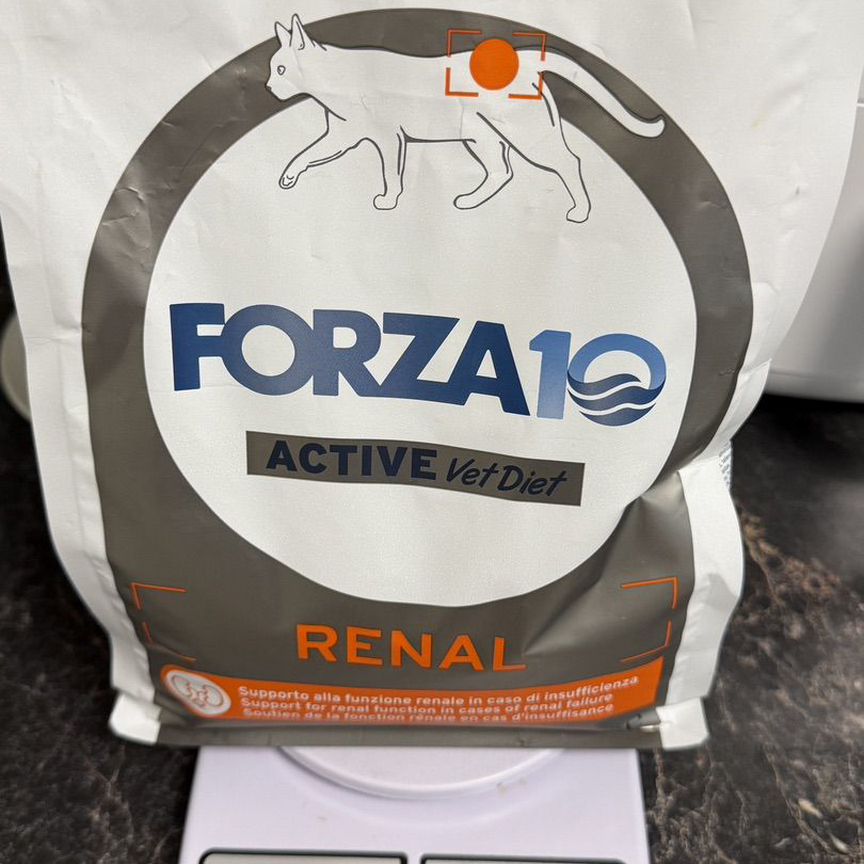 Forza 10 renal active