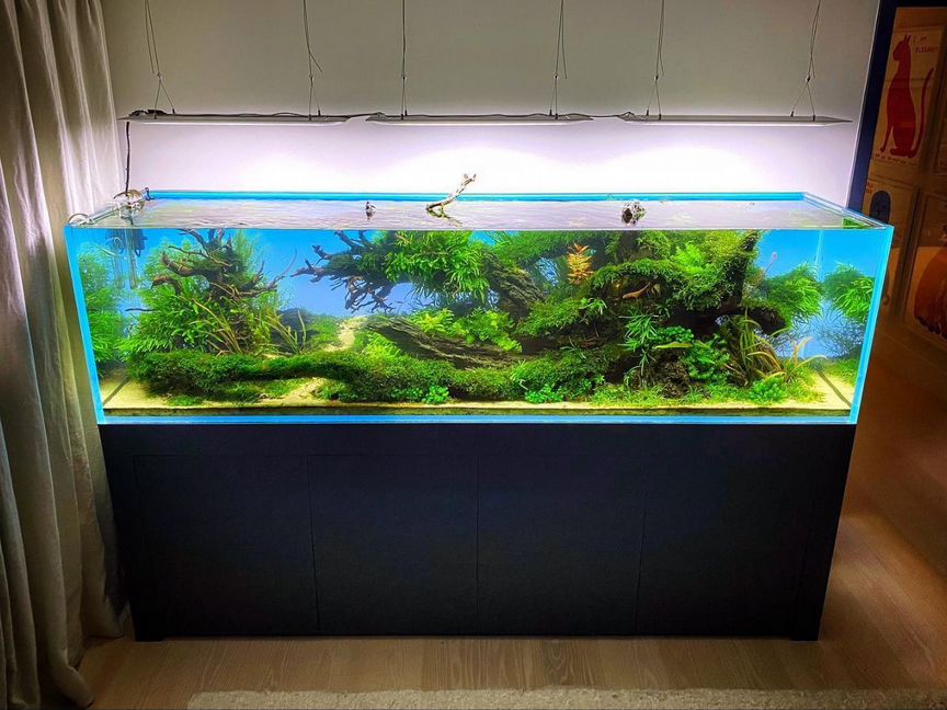 Продам Аквариум 800-850л, Травник. 260 60 60