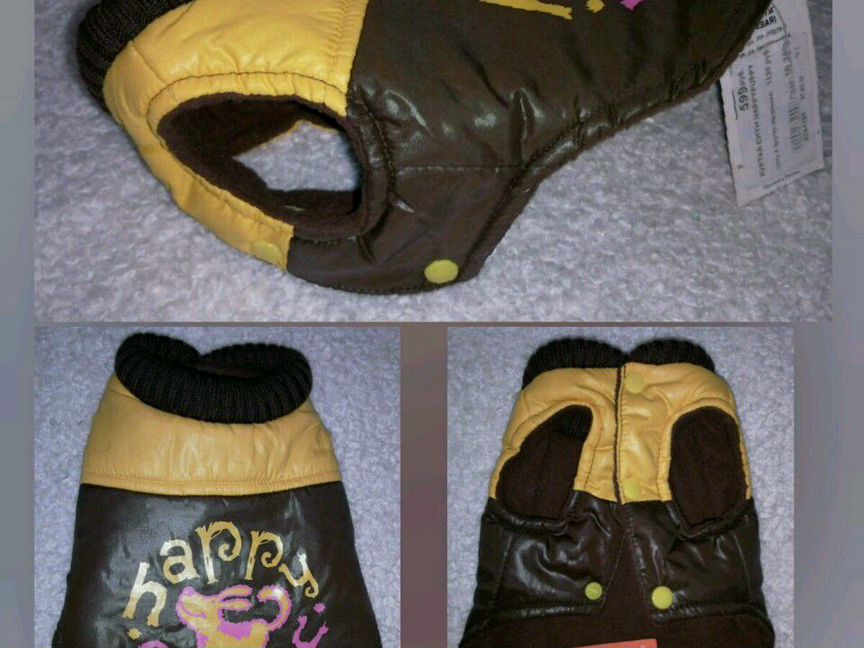 Одежда для собак