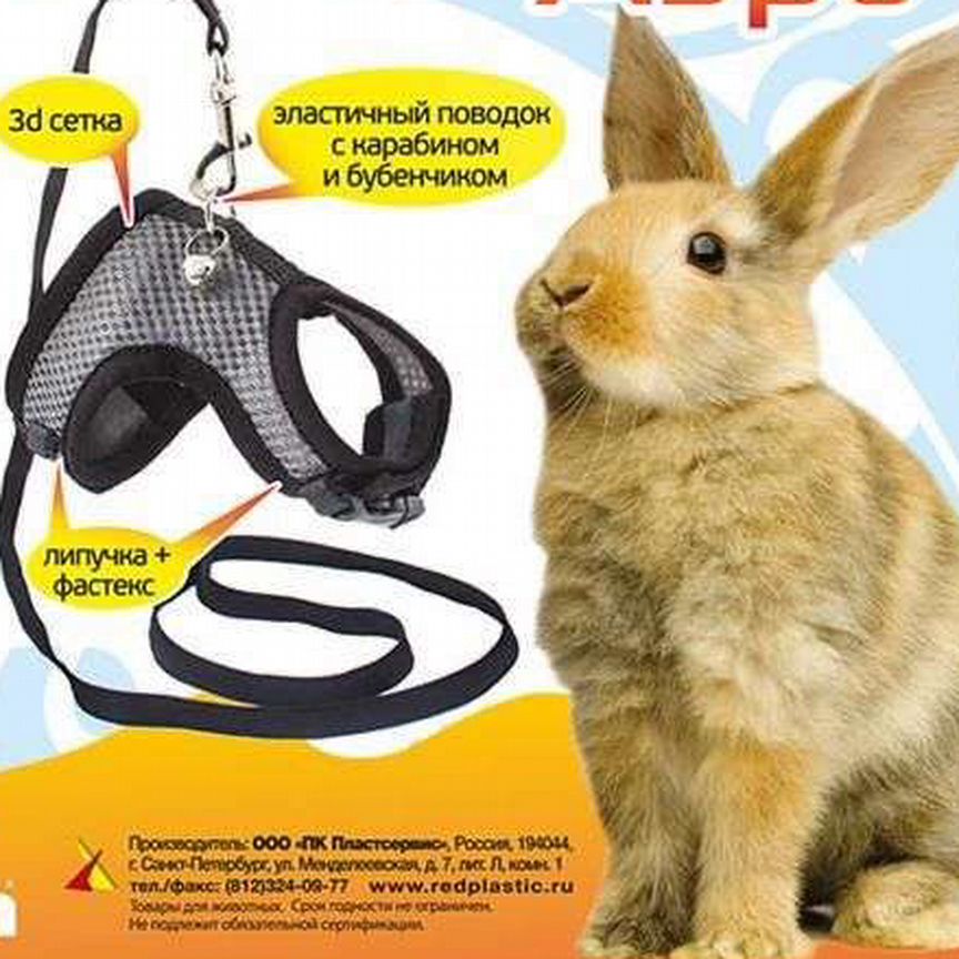 Шлейка + 2 поводка