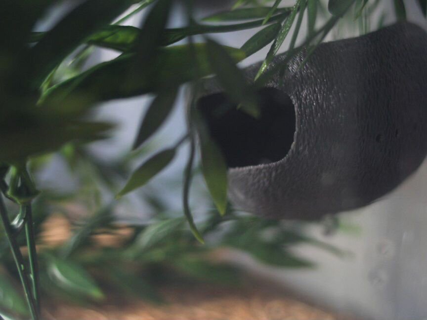 Готовый набор для бананоеда