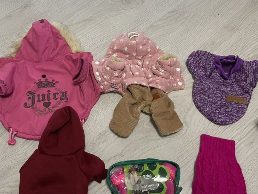 Одежда для собак