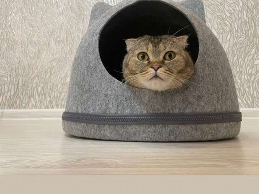 Кошачий домик с ушками. Новый. С подушкой