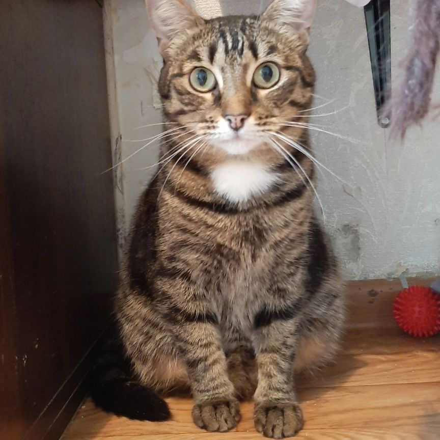 Красавица Герда ищет любящего человека