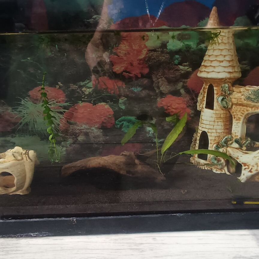 Украшение для аквариума