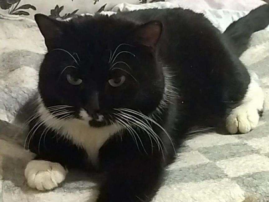 Добрый малыш