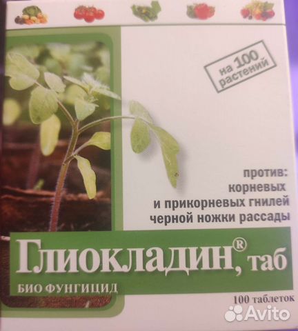 Глиакладин, растения для сада, многолетники купить в Перми | Товары для ...