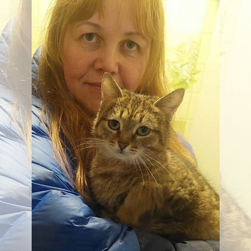 Кошечка в добрые руки