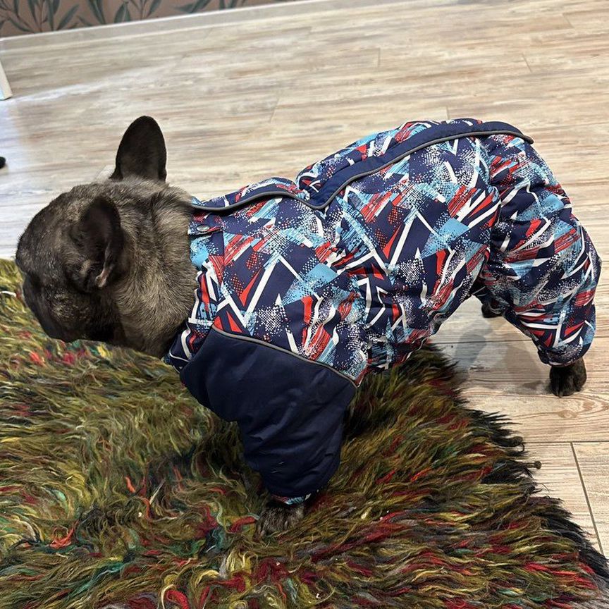 Комбинезон для собаки