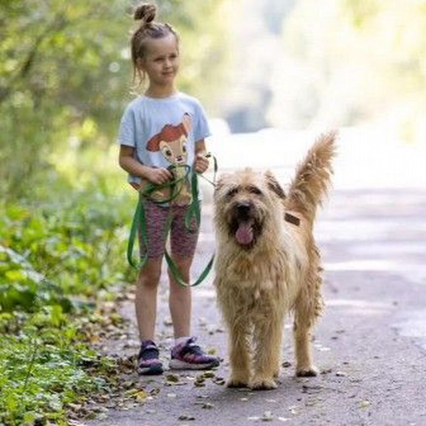 Самый лучший пес Кокос ждёт свою семью