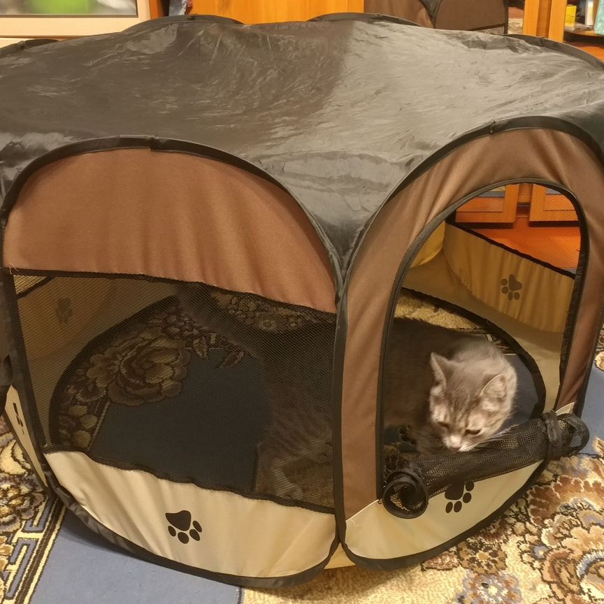 Кошкин дом большой