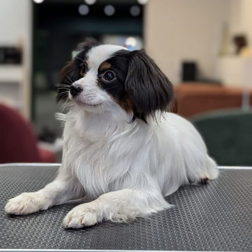 Фален 9 месяцев