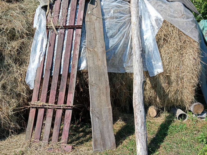 Сено в тюках и в стоге самовывоз