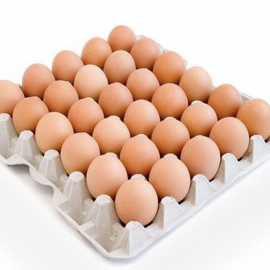 Яйцо на инкубацию. Кучинская юбилейная