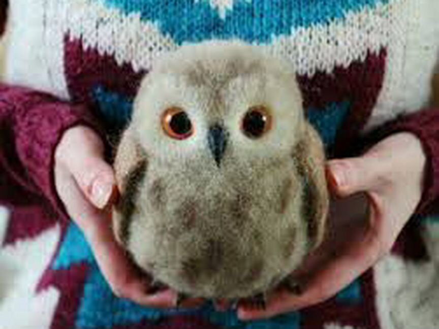 Хищная птица