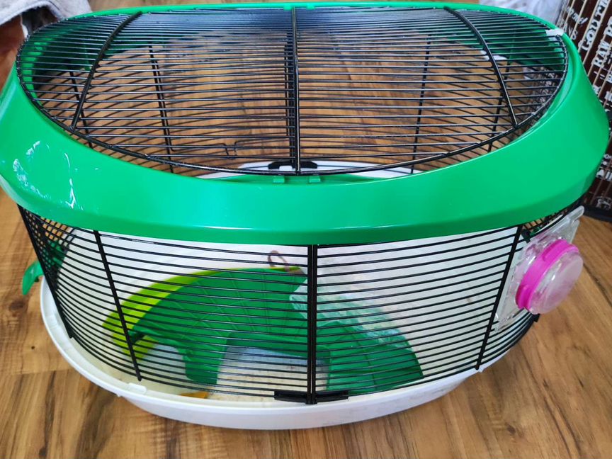 Клетка для хомика