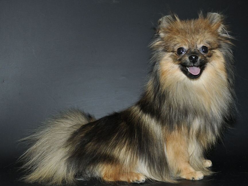 Миниатюра на подушку)