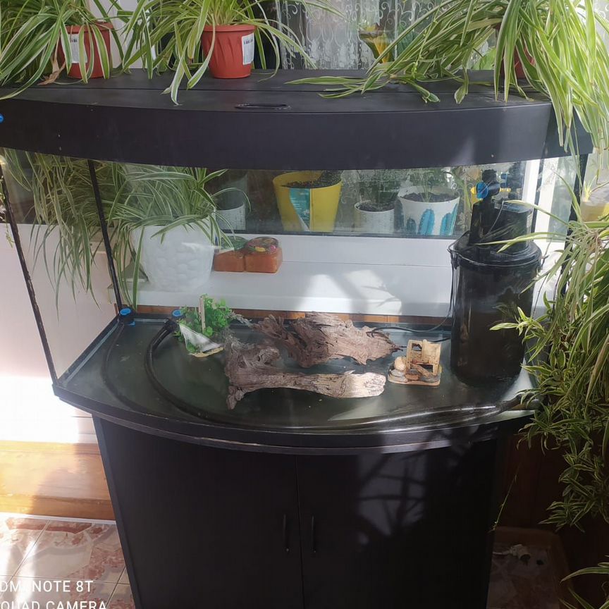 Аквариум панорамный