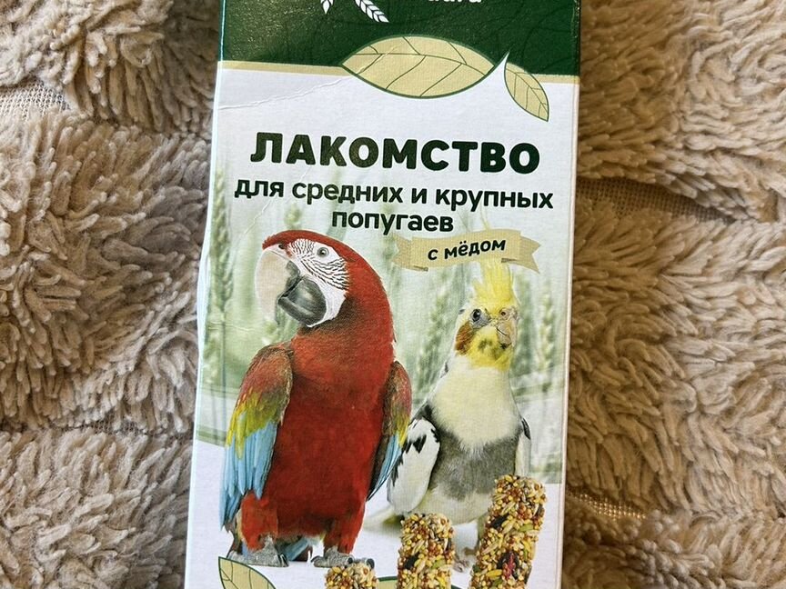 Попугай