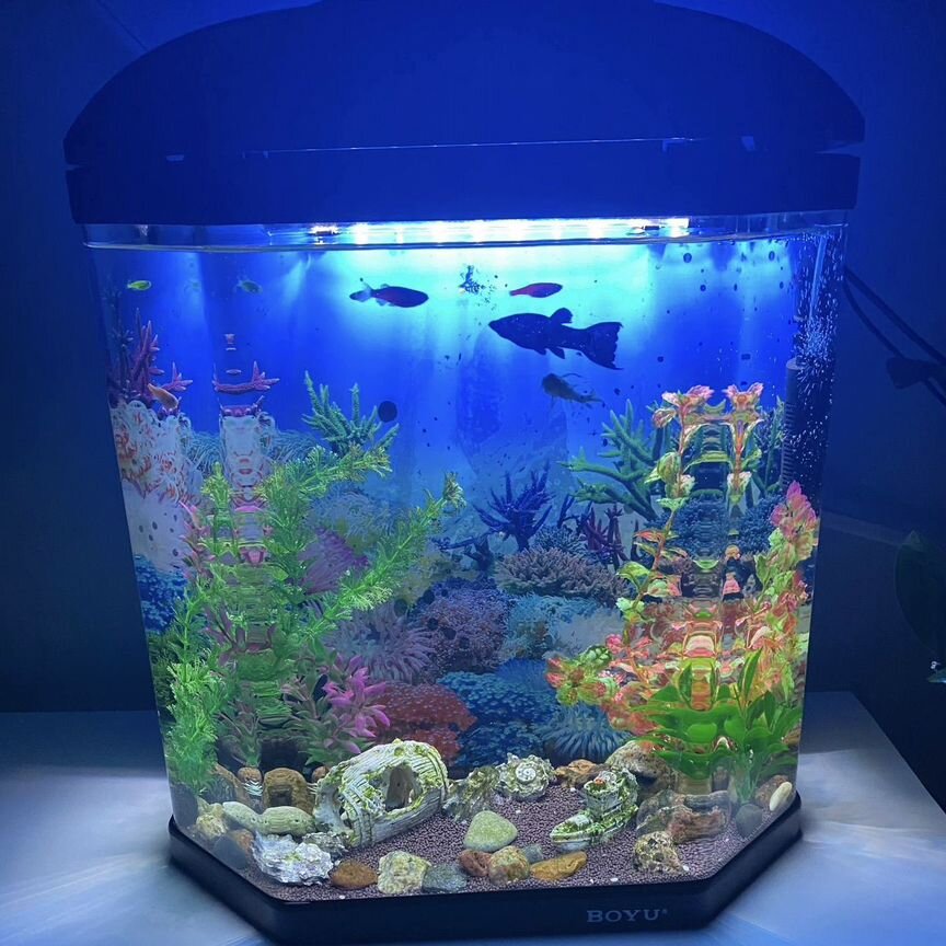 Аквариум 25л с рыбами и всем содержимым