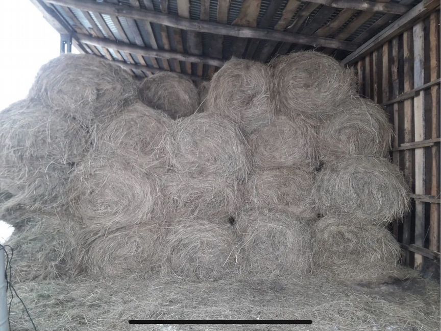 Сено костер