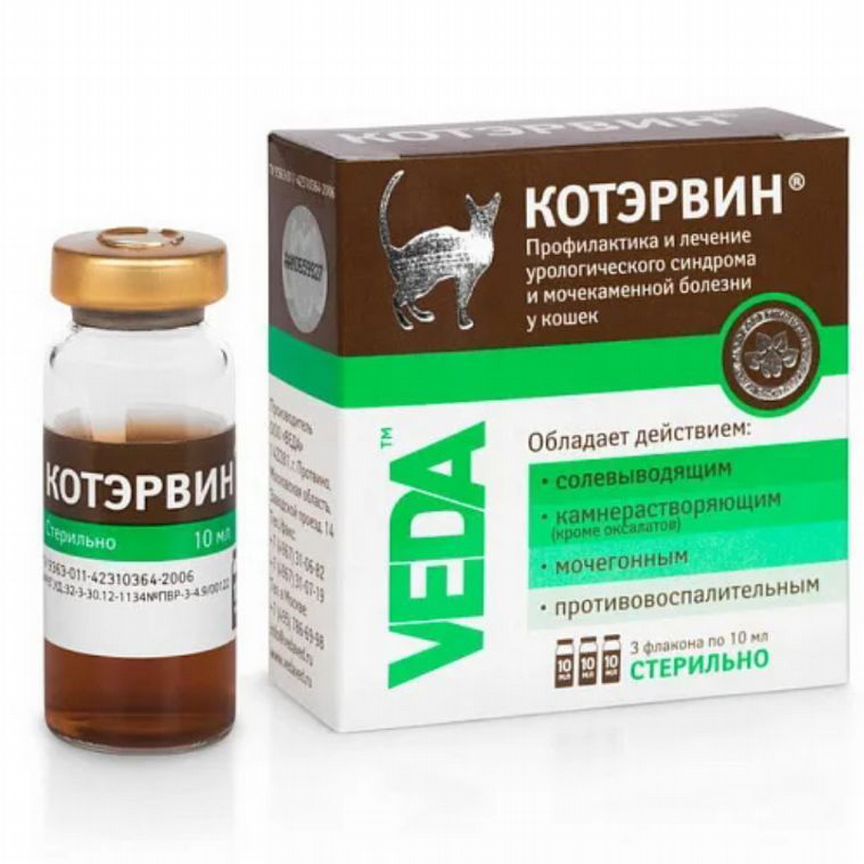 Мейн-кун котёнок