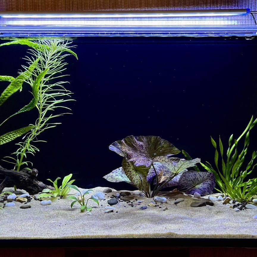 Аквариум 112 литров