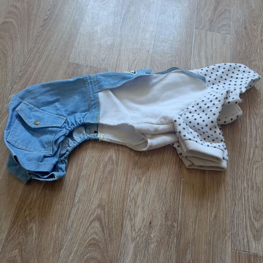 Костюм для собаки