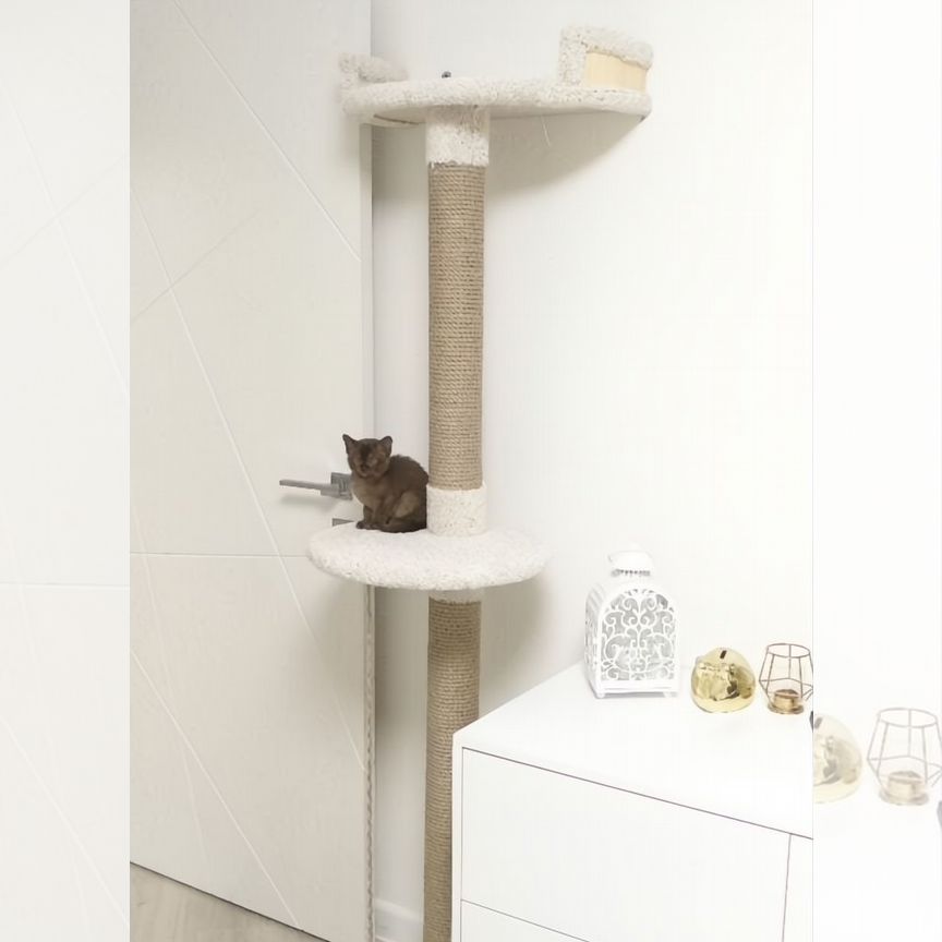 Когтеточка с лежанками