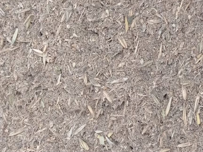 Зерноотходы ячменя