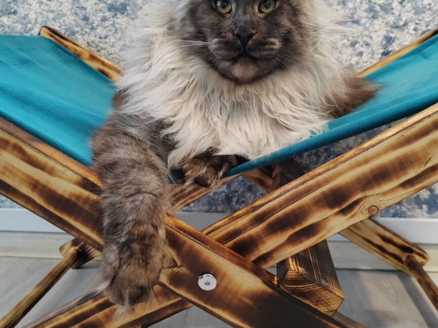 Гамак для кошек