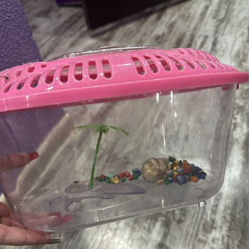 Аквариум для черепах