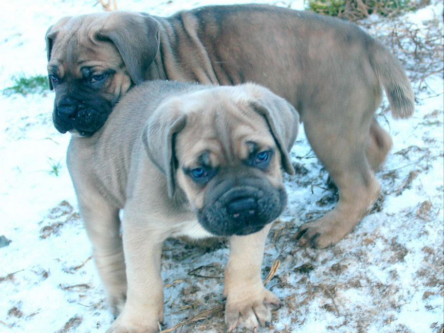 Форментино- девочки