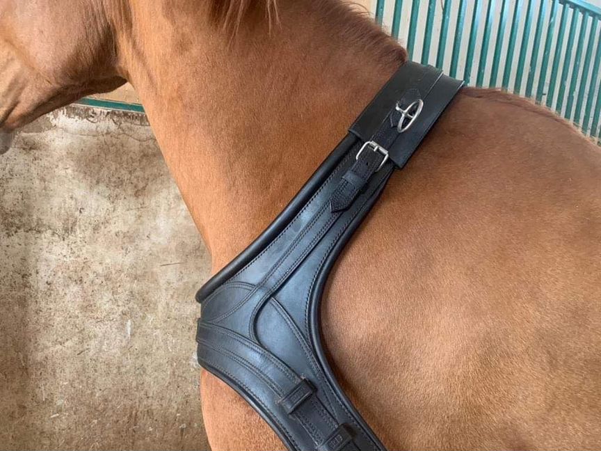 Французский хомут, упряжь