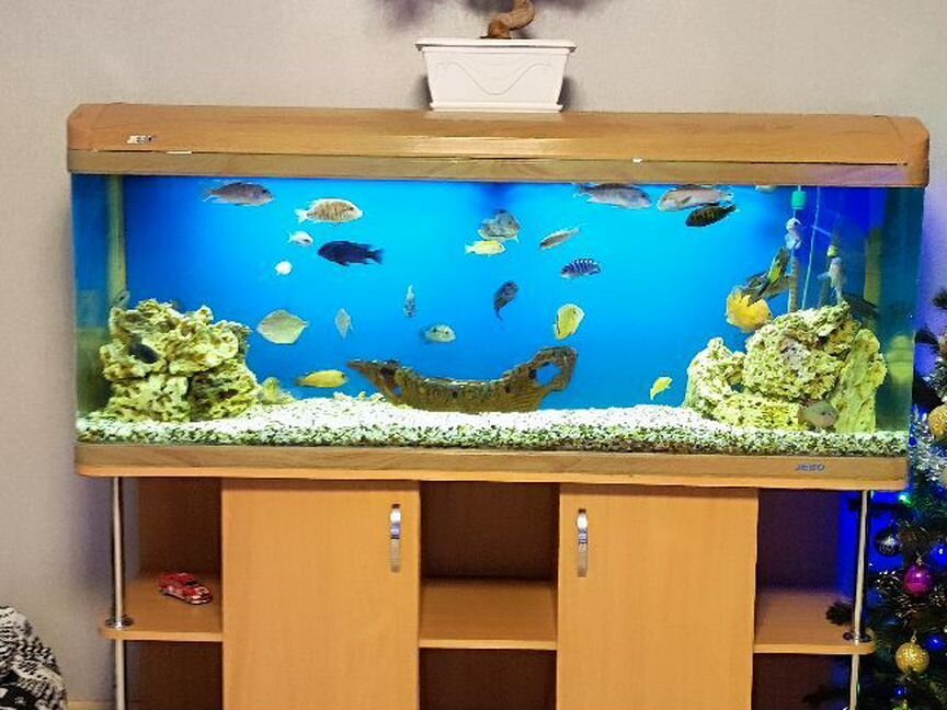Аквариум панорамный jebo r250 с тумбой