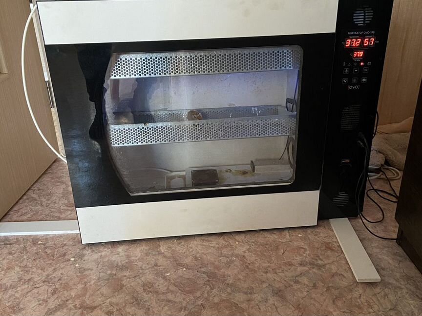 Инкубатор ovo 156