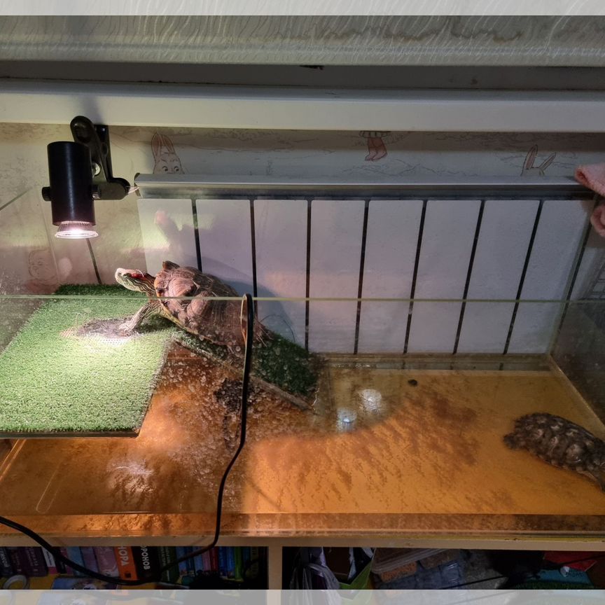 Аквариум для черепах