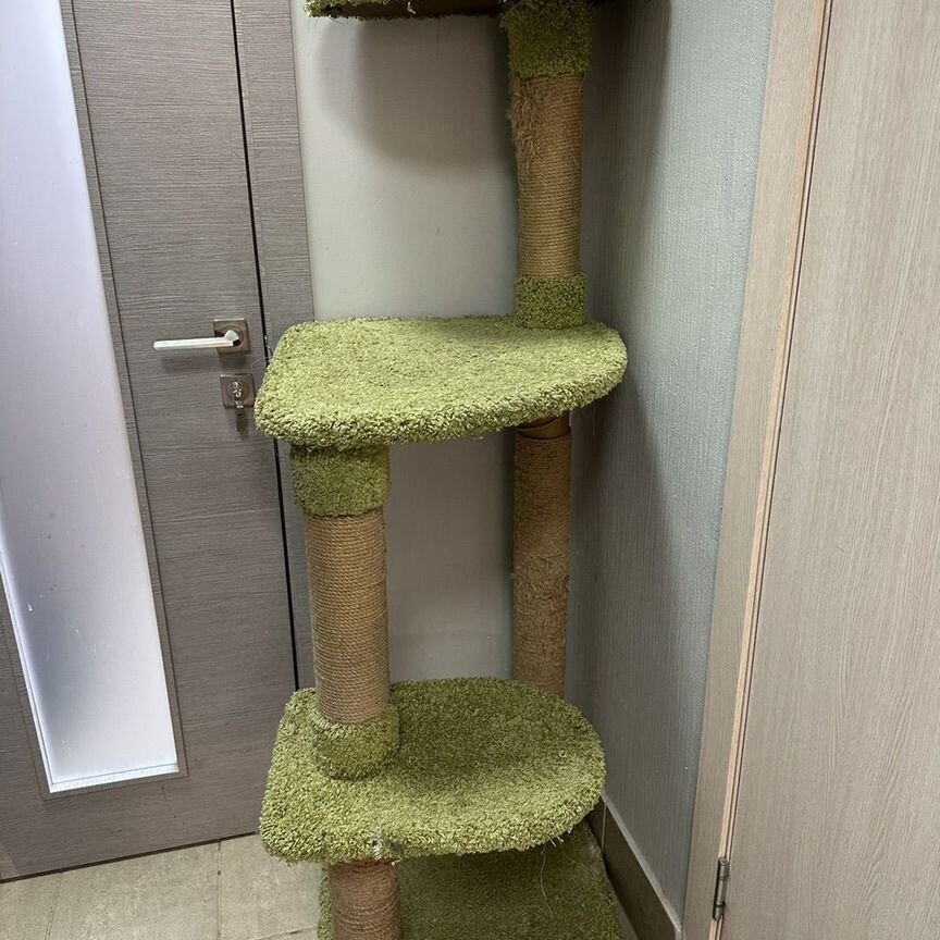Когтеточка бу