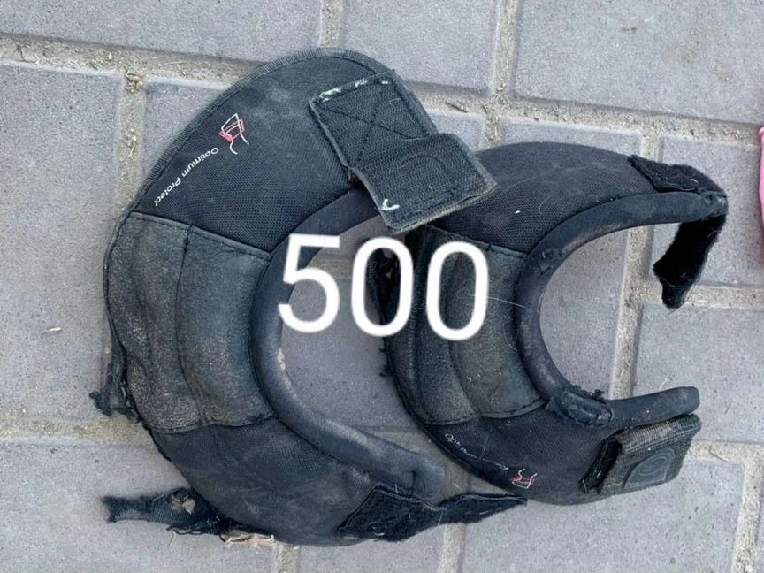 Амуниция для лошади и пони